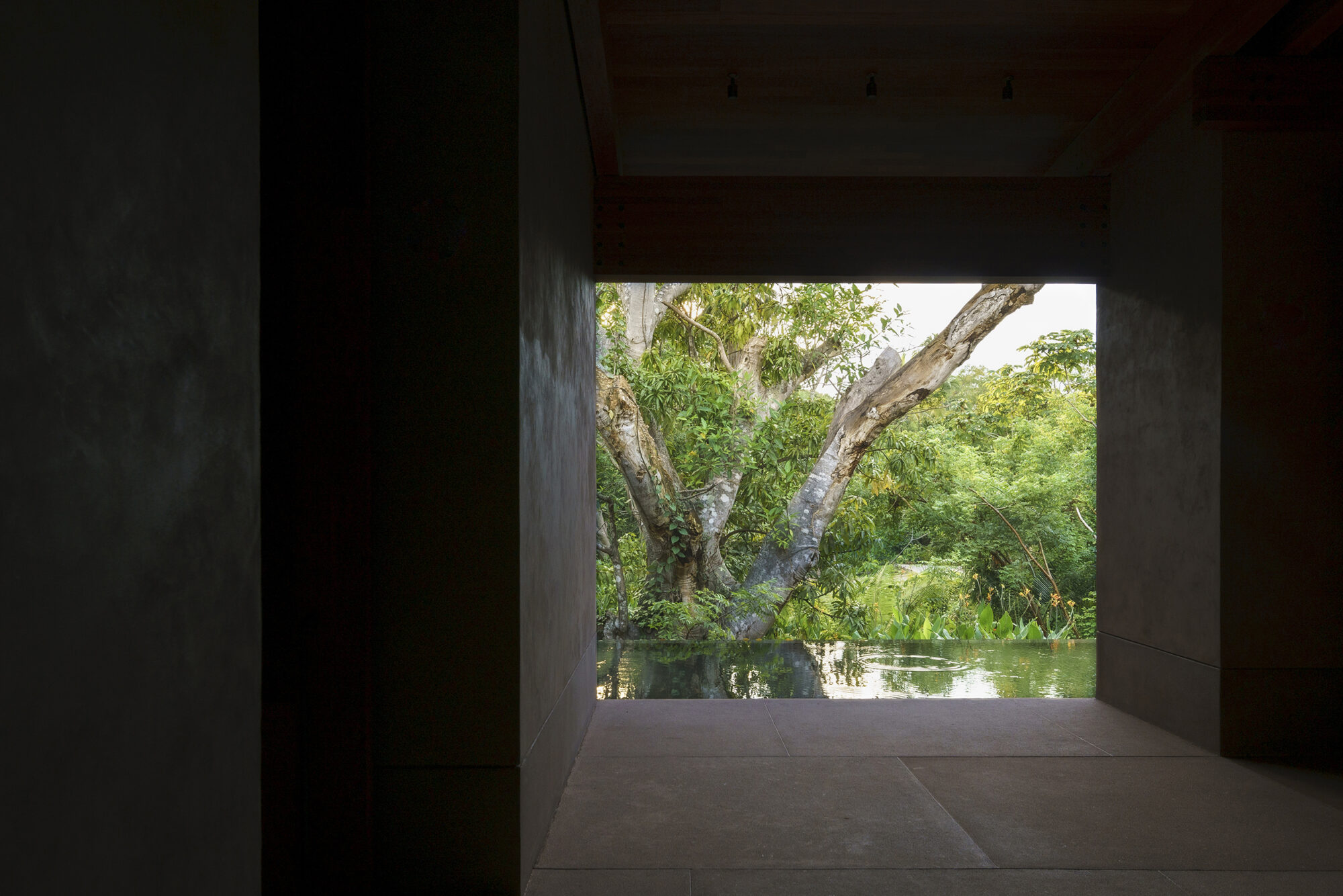 Mandarina – Studio Rick Joy